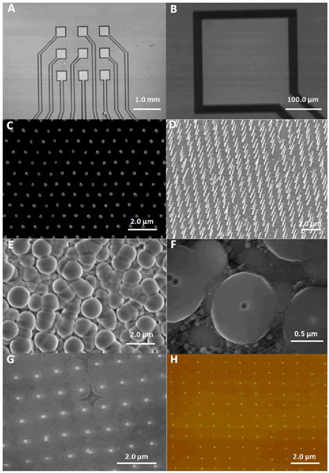 Figure 2 From Vertically Aligned Carbon Nanofiber Nanoelectrode Arrays Electrochemical Etching