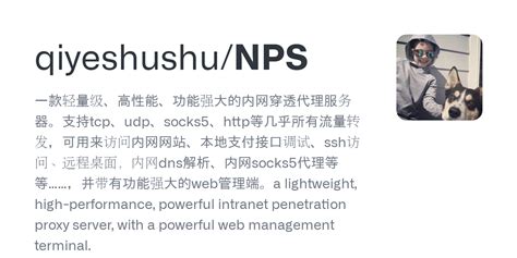 Github Qiyeshushunps 一款轻量级、高性能、功能强大的内网穿透代理服务器。支持tcp、udp、socks5、