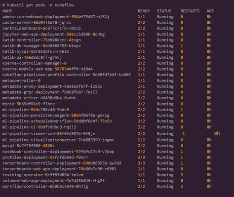 How To Install And Configure Kubeflow On Symcloud Platform Cloud Storage Machine Learning