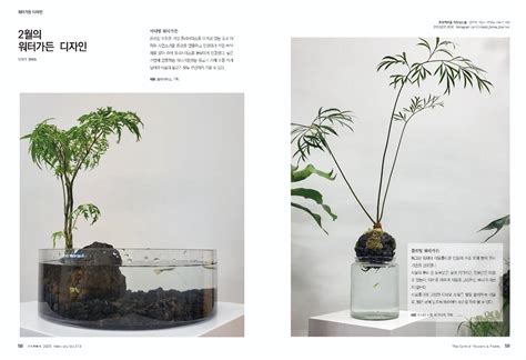 프로젝트홈 수경식물 And 실내식물 전문 가드닝스쿨 프로젝트홈 이번 2월호 에서는 한가지 식물로 연출하는 워터가든 2가지를 제안합니다 월간플로라