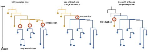How To Interpret The Phylogenetic Trees — Nextstrain Documentation