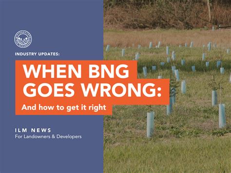 Bng Trading Rules A Guide For Developers Pt2 Rule 4