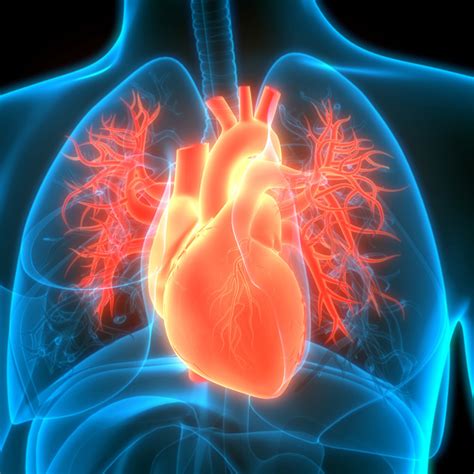 Heart Diseases And Conditions Data Uci Kaggle