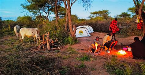 Maasai Camping Experience Getyourguide