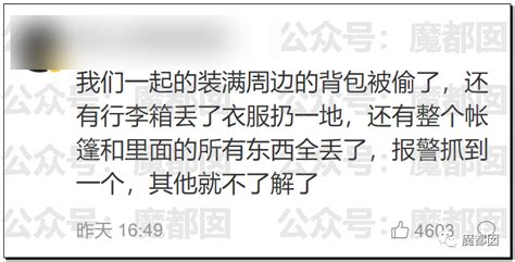 魔都囡｜南阳举办迷笛音乐节，乐迷们光天化日下被集体偷个精光