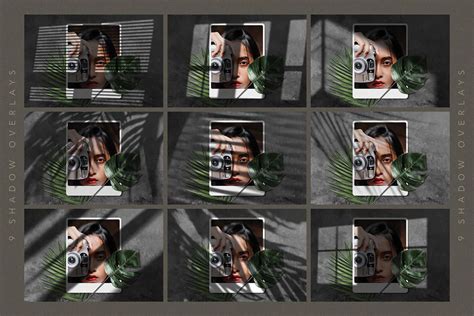 9 افکت سایه درخت و پنجره برای فتوشاپ 🔥کد فایل 110126