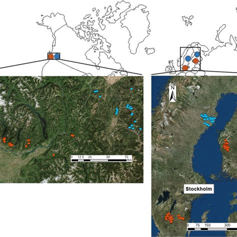 The Relationship Between Riparian Buffer Width And Stream Size