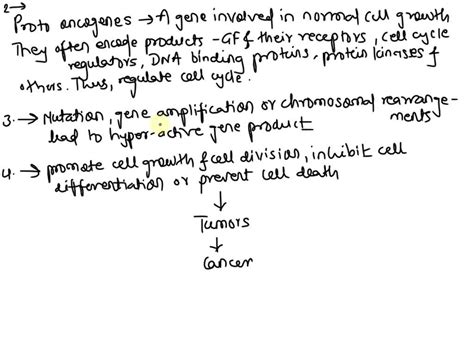 Solved Explain Proto Oncogenes And How These Genes Regulate The Cell