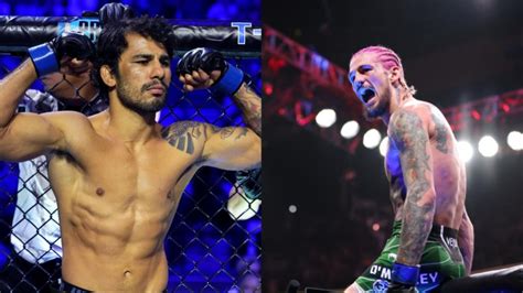 Alexandre Pantoja Would Have Fought Sean Omalley At 135 Pounds But