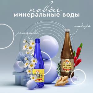 Новые лечебные минеральные воды Билинска Киселка от компании Родник