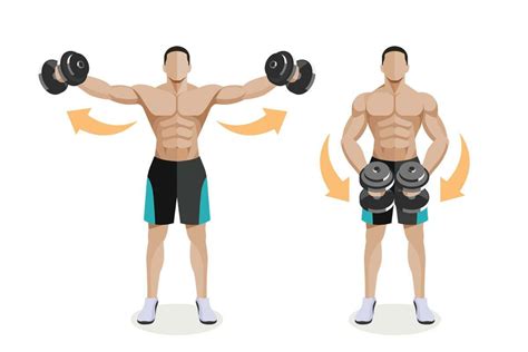 Лучшие упражнения для плечь