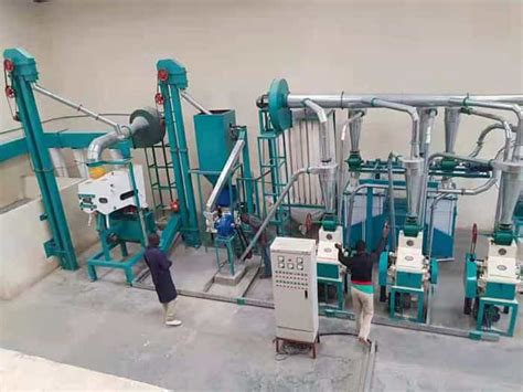 How To Choose The Right Wheat Processing Plant For Your Needs