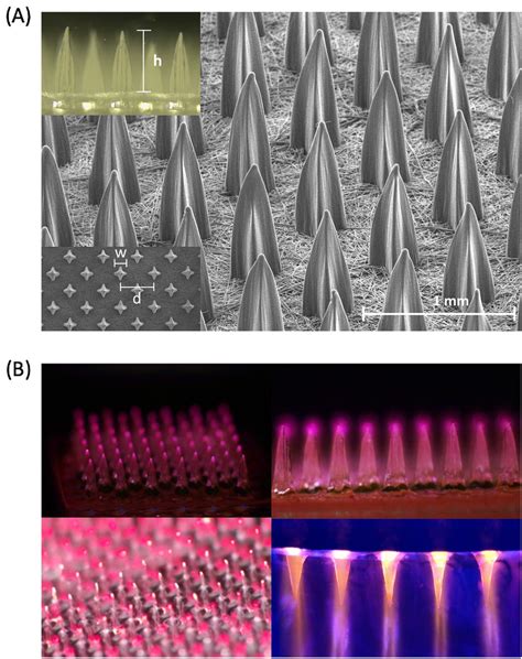 A Scanning Electron Microscope Sem Image Of Optical Four Point Download Scientific Diagram