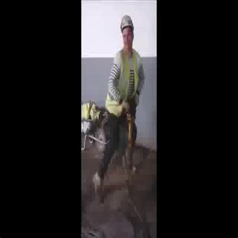 Safety Jacket Detection Object Detection Dataset V3 2022 11 18 12 31pm By Sreyoshi Mitra