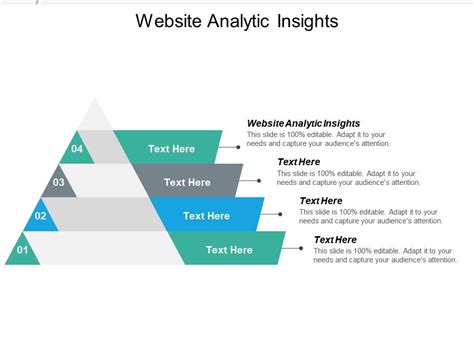 Website Analytic Insights Ppt Powerpoint Presentation Infographics