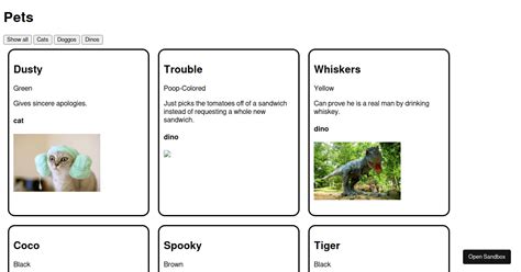 Pet Loops Codesandbox
