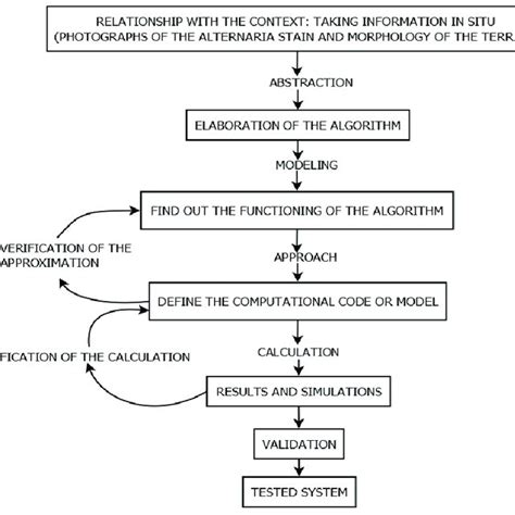 Methodological Phases For The Development Of The Algorithm Adapted