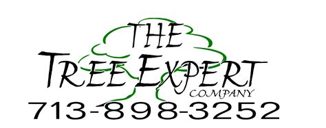 Tree Expert Company We Are The Tree People