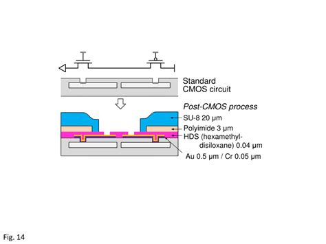Schematic Cross Section Of A Biosensor Fabricated Based On Cmos Download Scientific Diagram