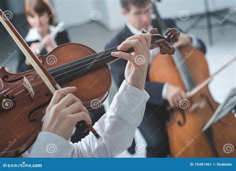 Classical Orchestra String Section Performing Stock Image Image Of People Concert 75481461