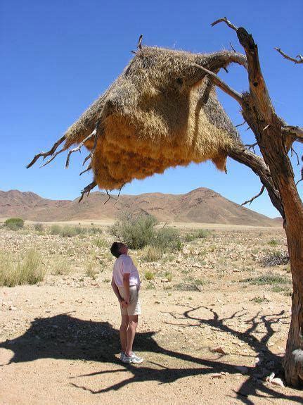 Best Namibia Images On Pholder Nature Is Fucking Lit Earth Porn And Interestingasfuck