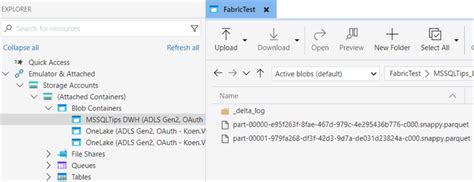Learn About Microsoft Fabric And Onelake Single Logical Data Lake