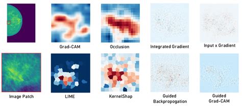 Attribution Maps Generated By Different Interpretability Methods For