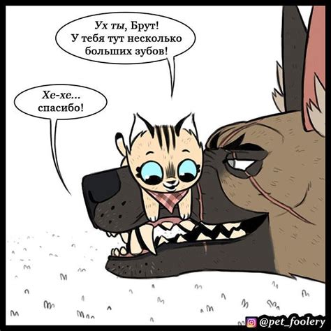 Pixie And Brutus 30 Teeth 09062020 Rpikabu