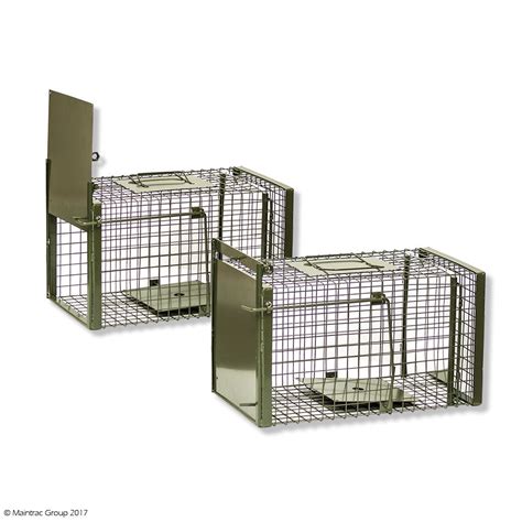 Stoat And Ferret Traps — Maintrac Group