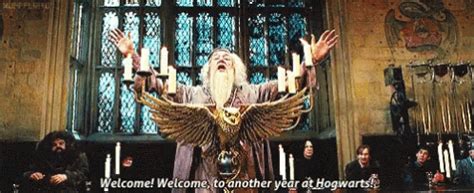 Dumbledore  53 Koleksi Gambar