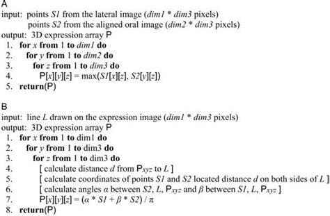The Pseudocodes For 3d Expression Construction A The Pseudocode For Download Scientific
