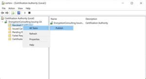 How To Disable Delta CRL Encryption Consulting