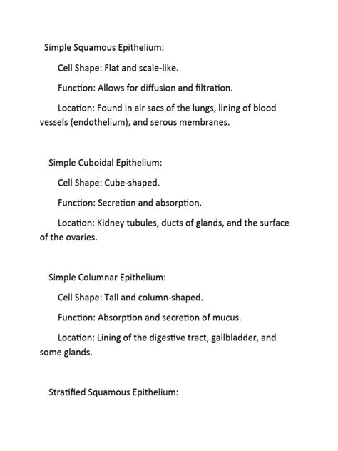 Simple Squamous Epithelium Download Free Pdf Epithelium Nervous System