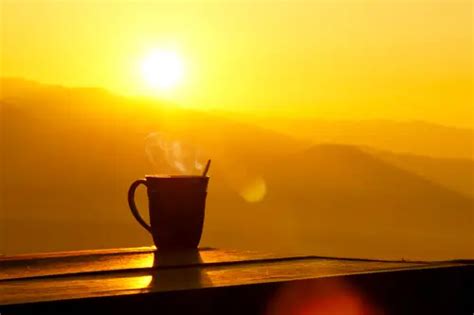 How To Create A Morning Routine That Changes Your LifePick the Brain ...