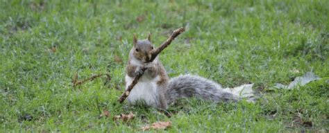 Code Coverage Vs Test Coverage These Two Names Are Often Used By Matt Stephens Codeburst