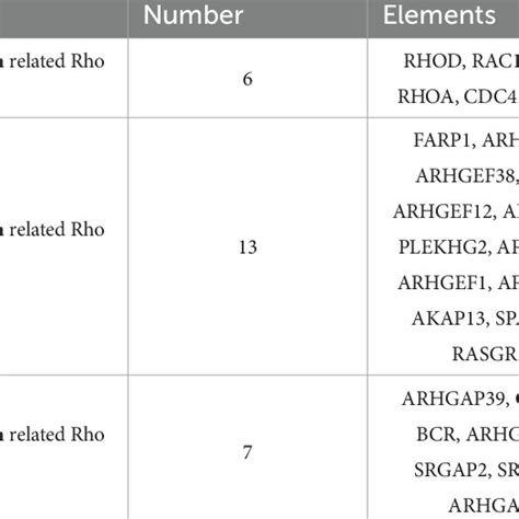 The Cycle Of The Gtp Binding And Gtp Hydrolysis And Signaling Functions Download Scientific