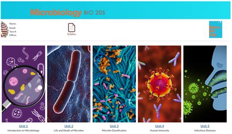 Bio 205 Microbiology Oer Commons