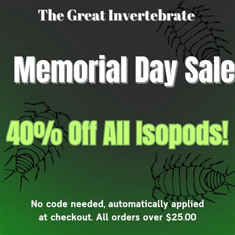 Isopod And Roach Bonanza