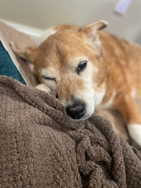 Spending Our Last Few Days With Her Shes 14 Im Devastated R