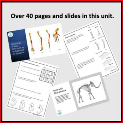 Comparative Anatomy Worksheet Embryology Evidence Of Evolution Ngss