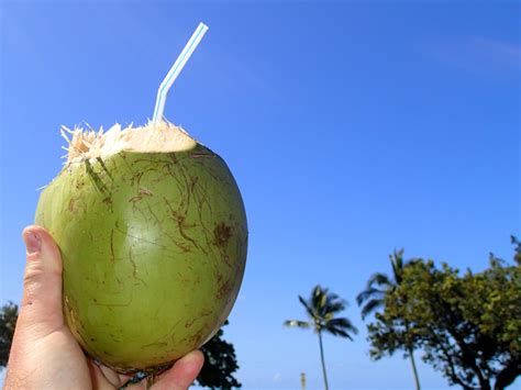 무료 이미지 과일 식품 생기게 하다 야채 박 코코넛 꽃 피는 식물 육상 식물 종범 2750x2061 213808 무료 이미지 Pxhere