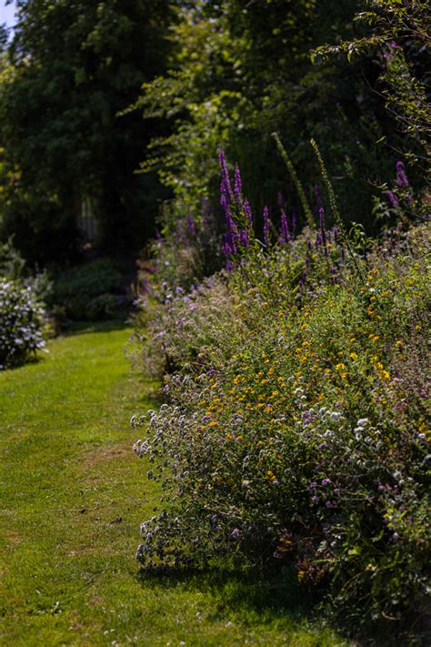 Country Garden Project In Bath Greenbook