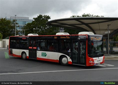 Dk Busbilder Daniel Krause