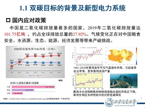 专家报告 “双碳”目标下弹性电力系统发展的思考