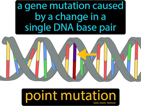 point mutation
