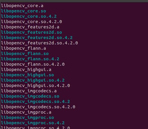 Dllnotfoundexception After Editing Opencvlinuxbuild · Issue 166