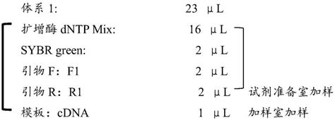 荧光pcr 人脂联素基因定量表达检测试剂盒的制作方法