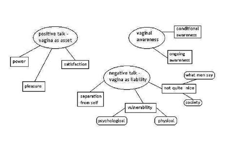 Developed Thematic Map Showing Three Main Themes Final Analysis