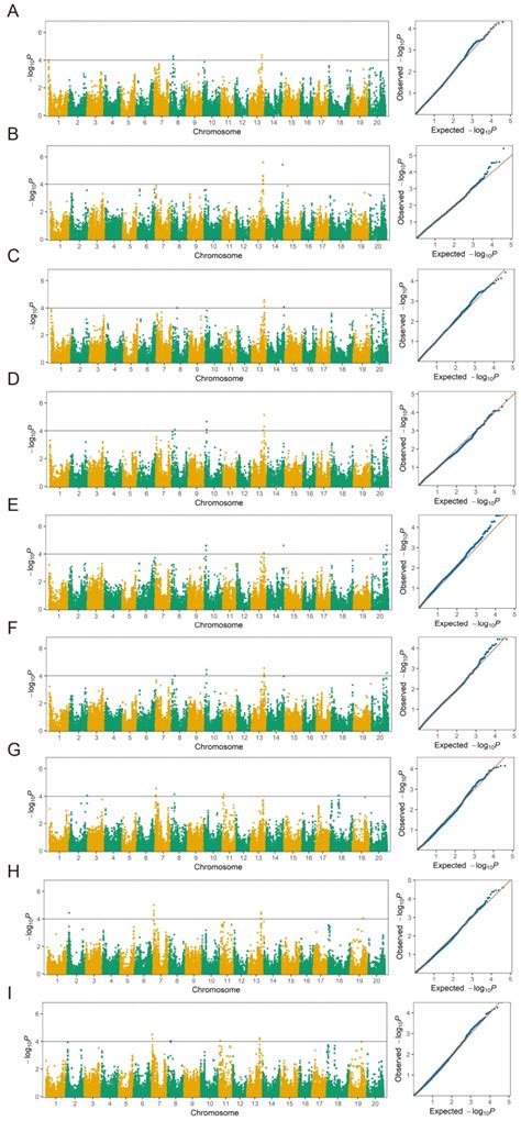 Identification Of Qtn And Candidate Gene For Seed Flooding Tolerance In