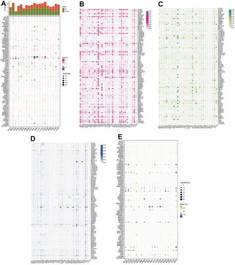 Combination Of Bulk Rna Sequencing And Scrna Sequencing Uncover The Molecular Characteristics Of